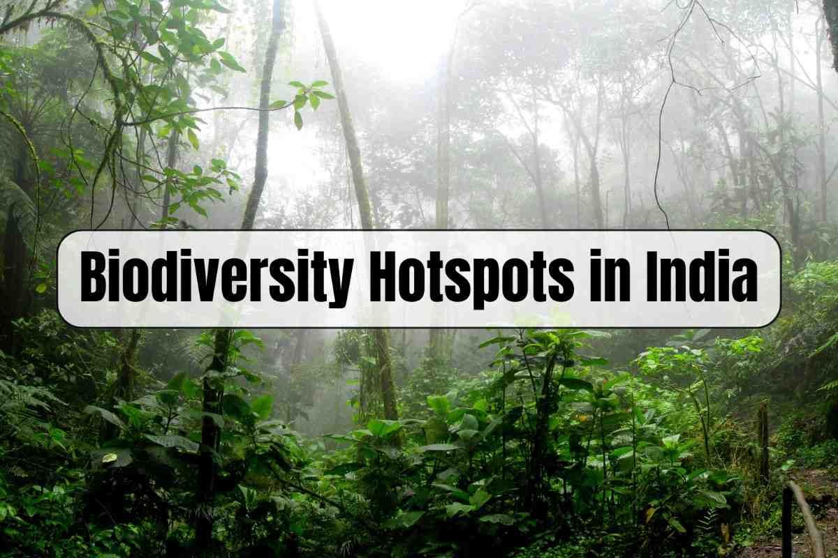 Biodiversity Hotspots in India: UPSC Notes & Facts